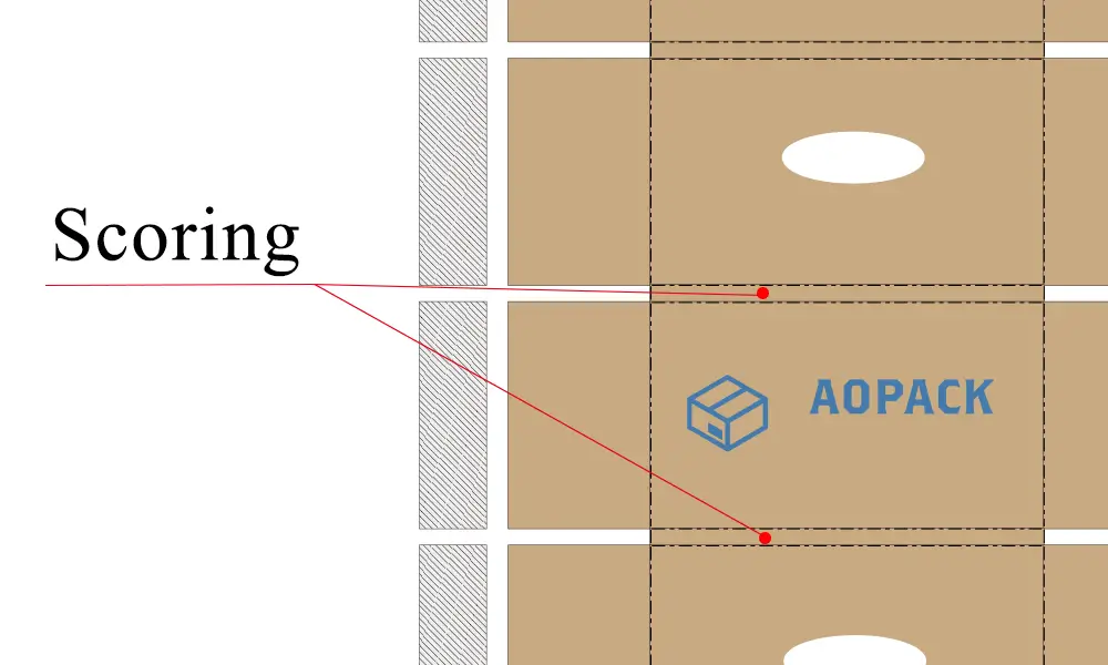 A Comprehensive Guide to Key Carton Box Making Terminology